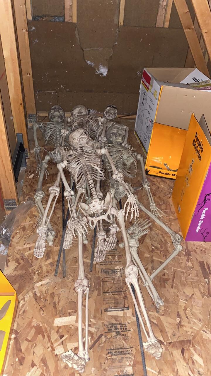 Animals, skeletons, and creepy home inspection stuff 2020 - Structure ...