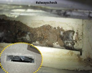 Inspecting sub-slab ductwork: it's all about water - Structure Tech ...