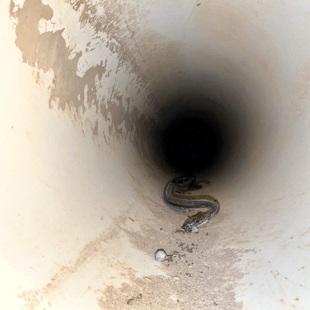 Inspecting sub-slab ductwork: it's all about water - Structure Tech ...