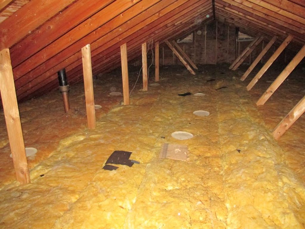Stuff we've found in attics during home inspections - Structure Tech ...