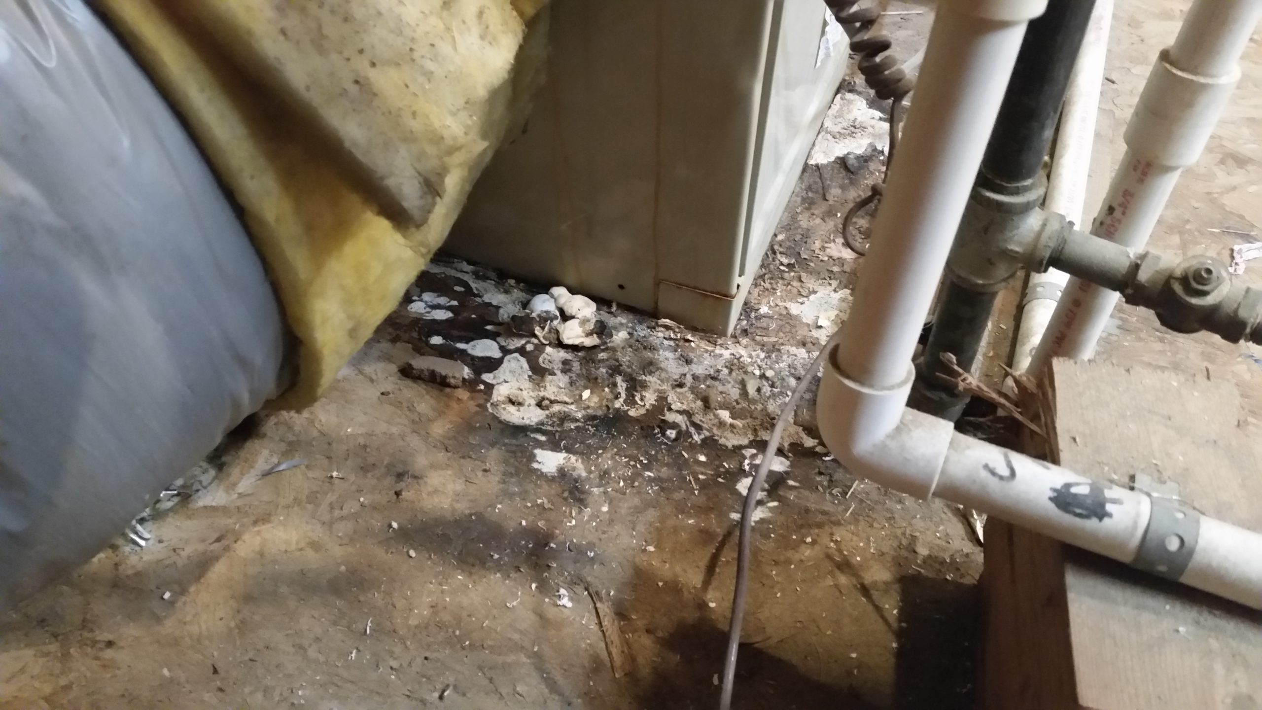 AC Condensate Rules For Attics HomesMSP Real Estate Minneapolis