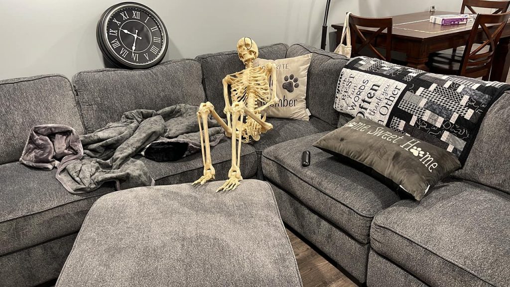 Animals, skeletons, and creepy home inspection stuff 2022 - Structure ...