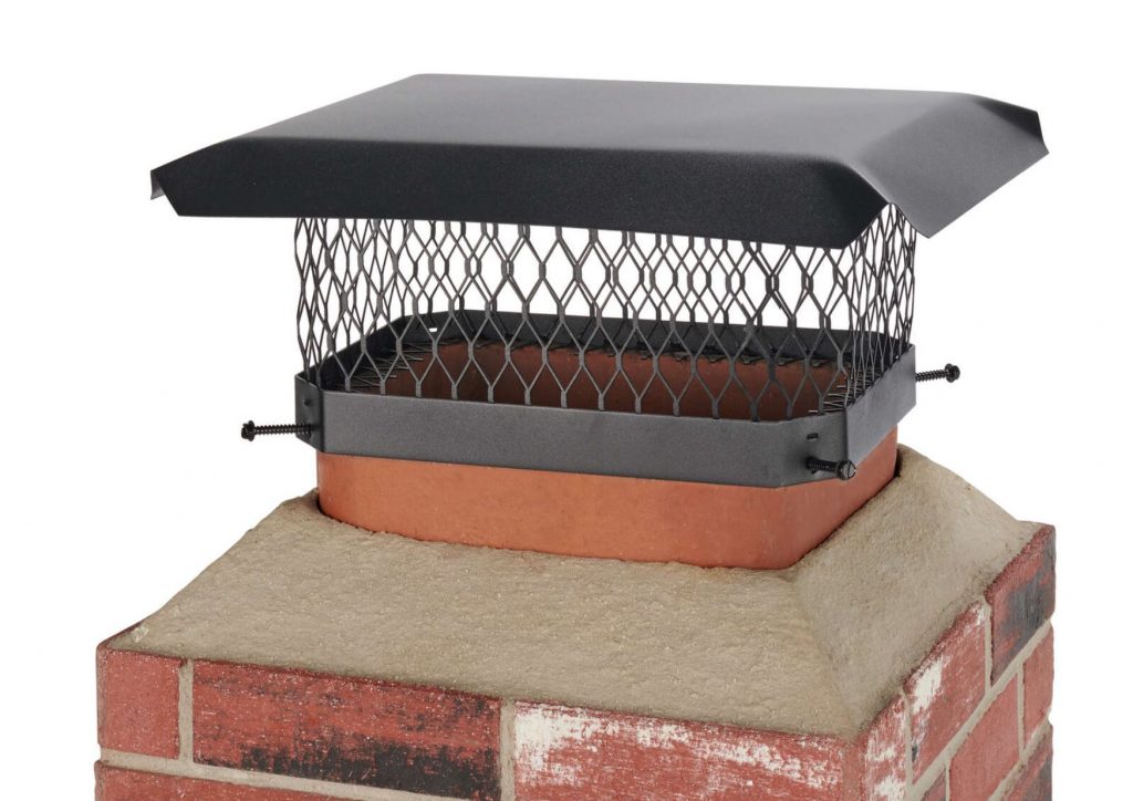 Chimney inspection show-stopper: chimney swifts - Structure Tech Home ...